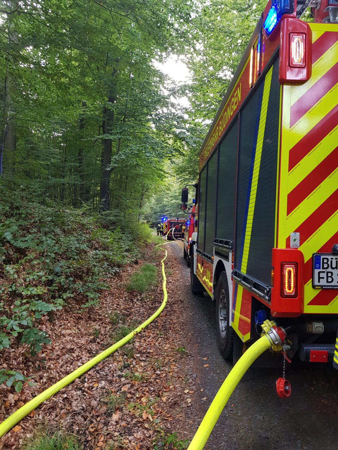 brennt Holzstapel im Waldgebiet – Feuerwehr der Stadt Büdingen